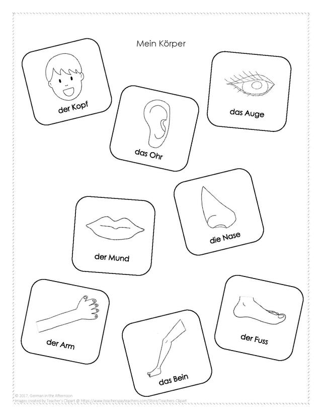 Body Parts | German in the Afternoon Activities