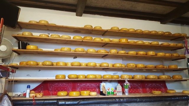 2017 NL: Say Cheese! | German in the Afternoon Activities