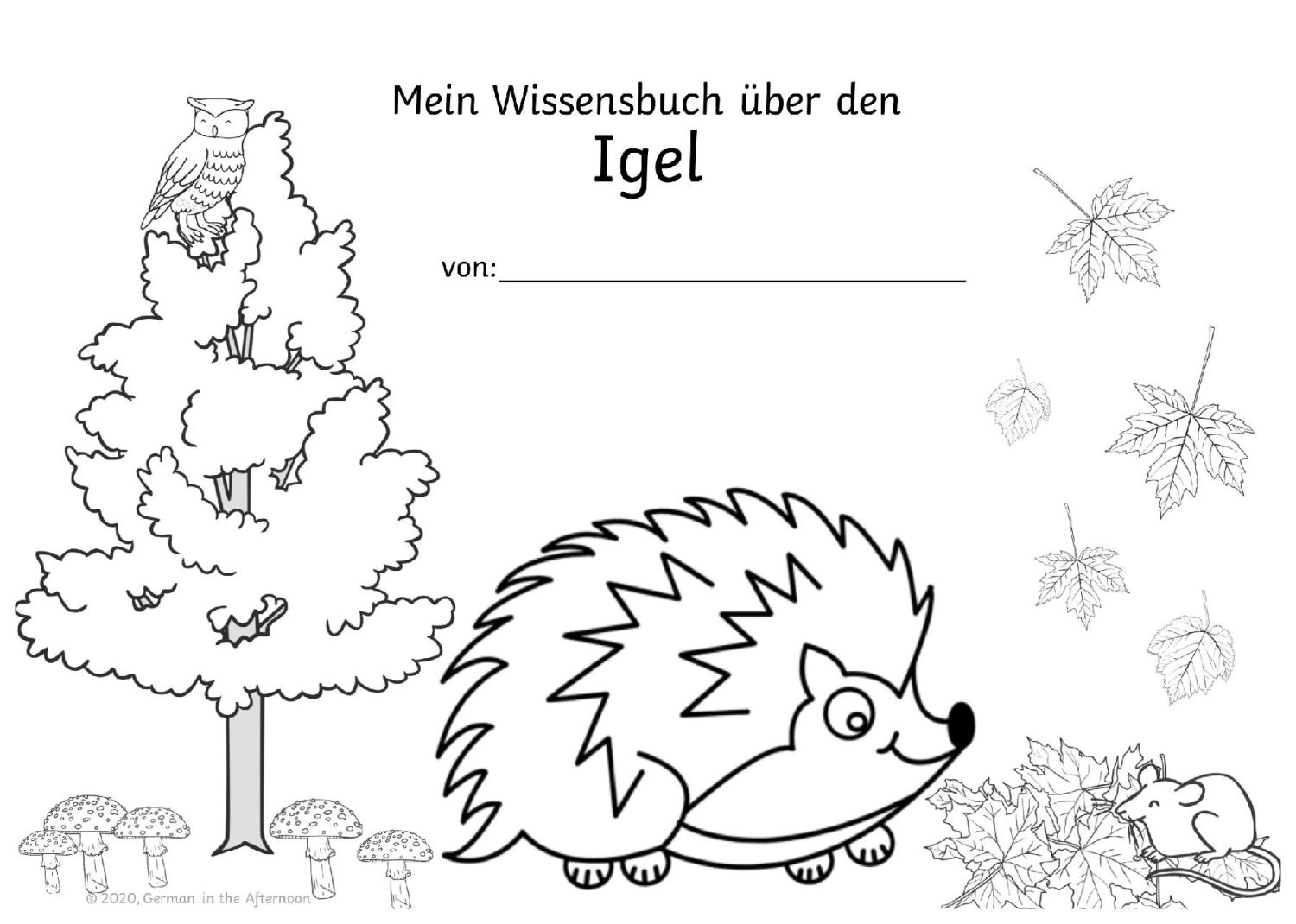 German in the Afternoon Activities | Activities to help your little ...
