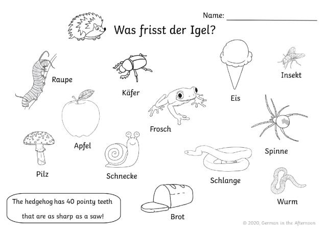 Alles über den Igel, Teil 2 (All about the Hedgehog, Part 2) | German ...